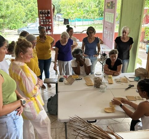 Mix and Match: The Beauty of Curaçao Fibers - Farm to Crafts
